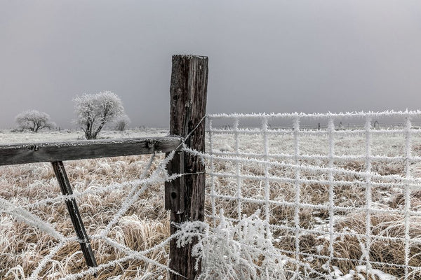 Winter – Daylight Books