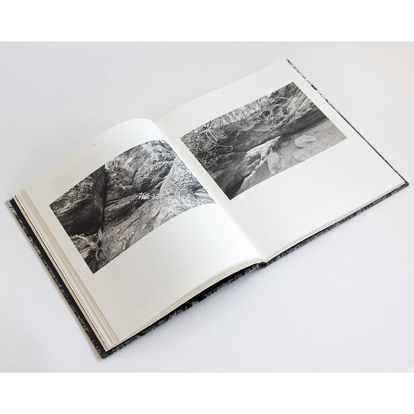 The Poetry of Being – Daylight Books